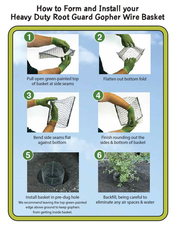 How to Form & Install your Heavy Duty Root Guard Gopher Wire Basket ...